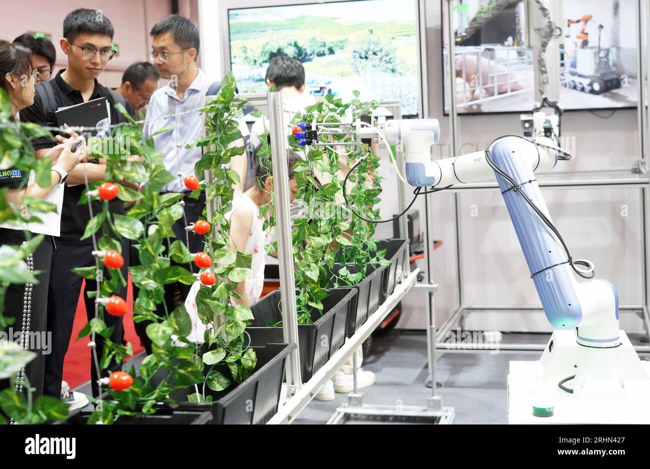 Beijing, China. 17th Aug, 2023. A fruit and vegetable picking robot is ...