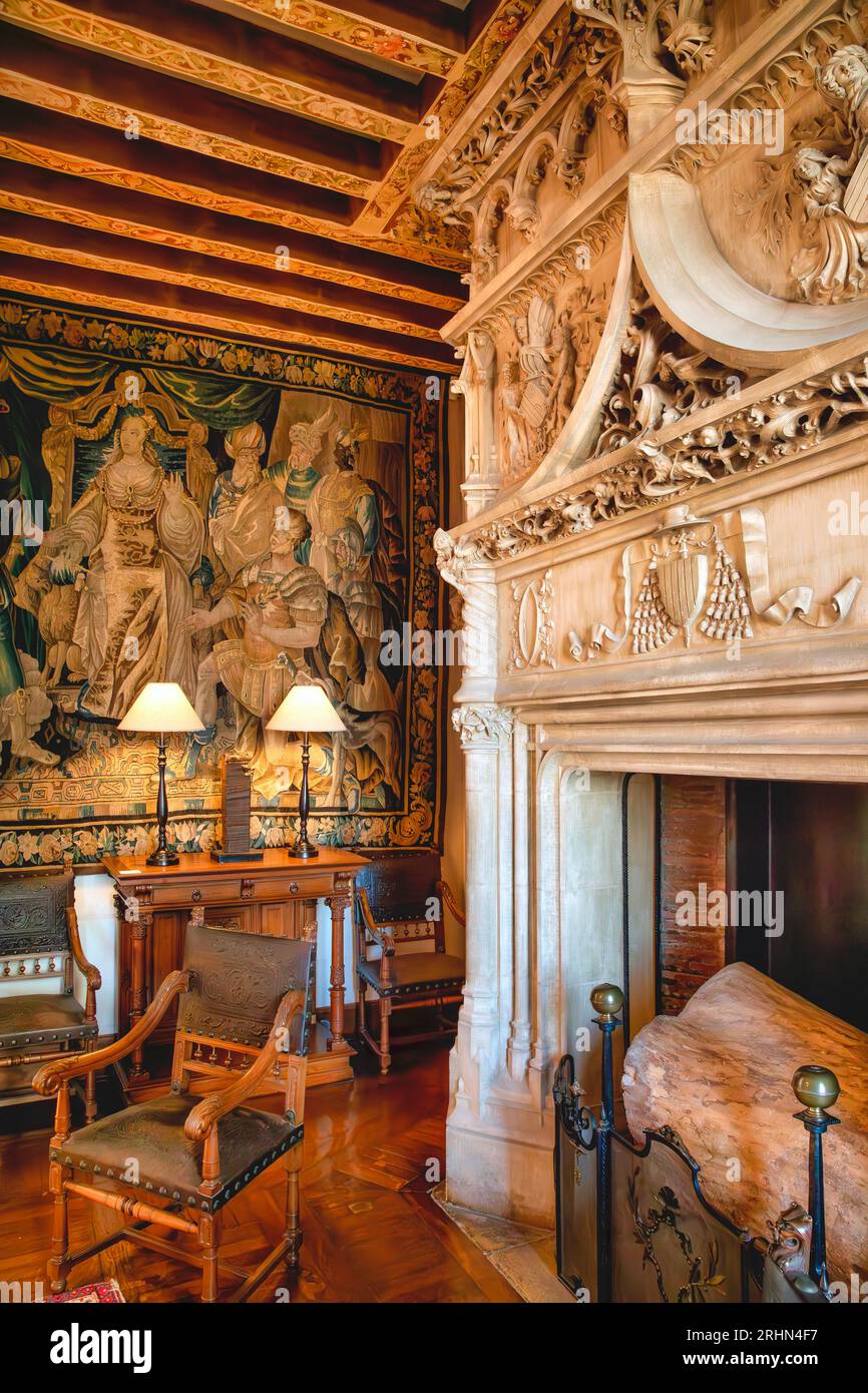 The fireplace inside dining room at the Chateau de Chaumont-sur-Loire ...