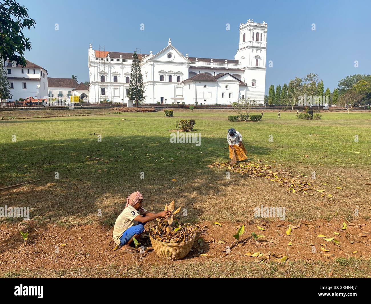 Old Goa, India - January 2023: Workers picking dry leaves and sweeping ...