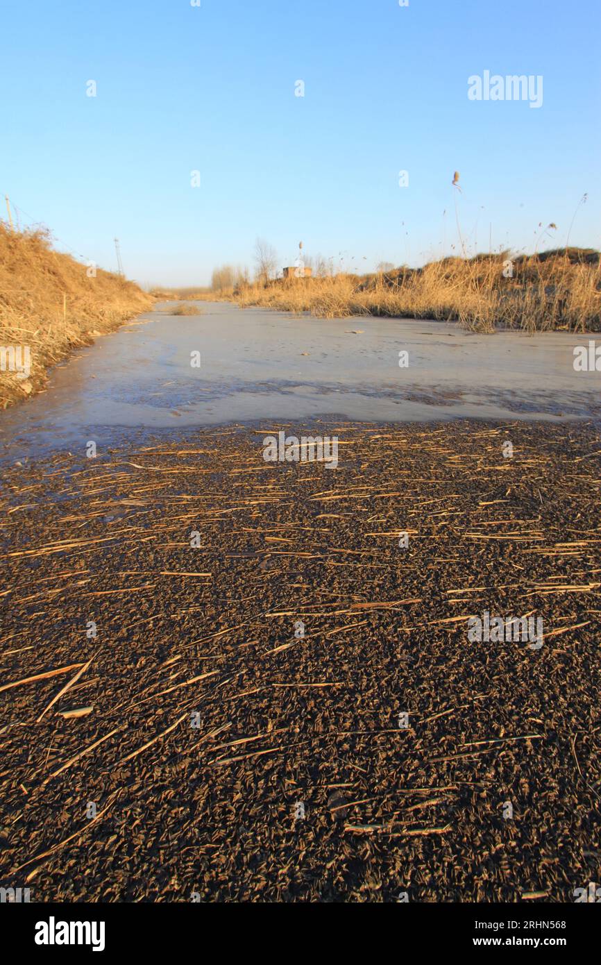 floating in the river in winter in north china Stock Photo - Alamy
