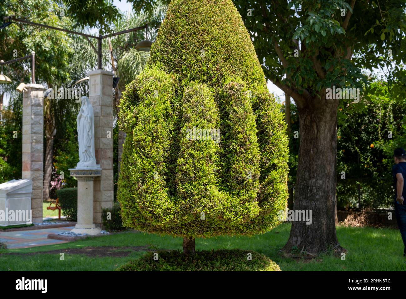 topiary Tree sculpturing in a Peace Park Garden in Ghajar (Arabic: غجر ...