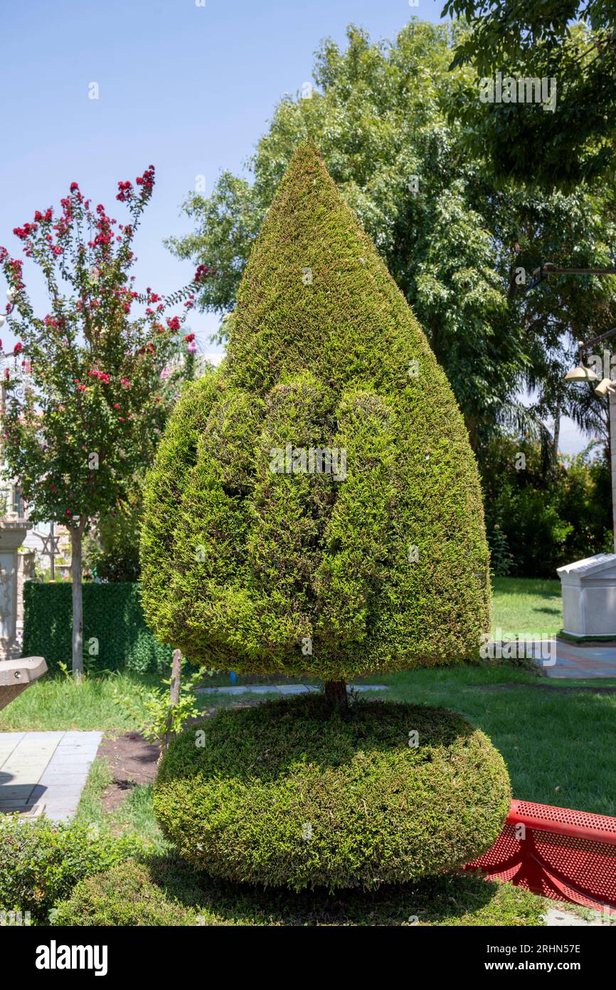 topiary Tree sculpturing in a Peace Park Garden in Ghajar (Arabic: غجر ...