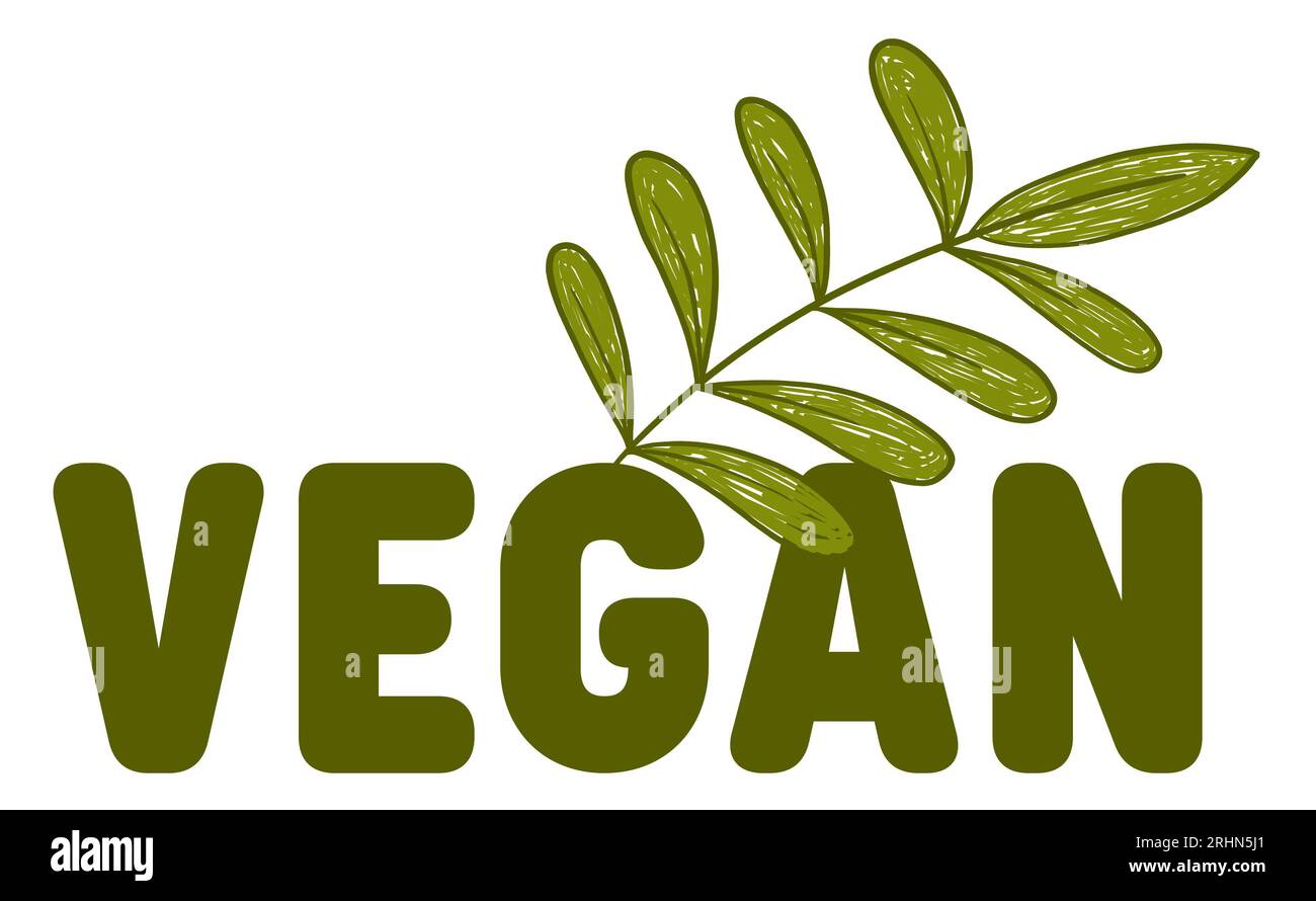 Green leaf top Cut Out Stock Images & Pictures - Alamy