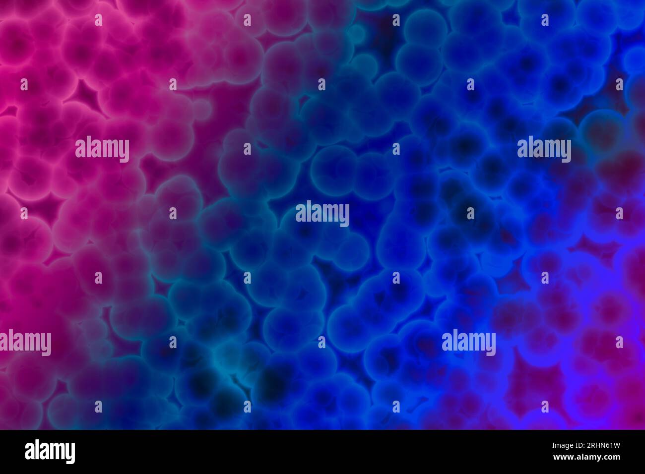 Shape of bacterial cell: cocci, bacilli, spirilla bacteria Stock Photo ...