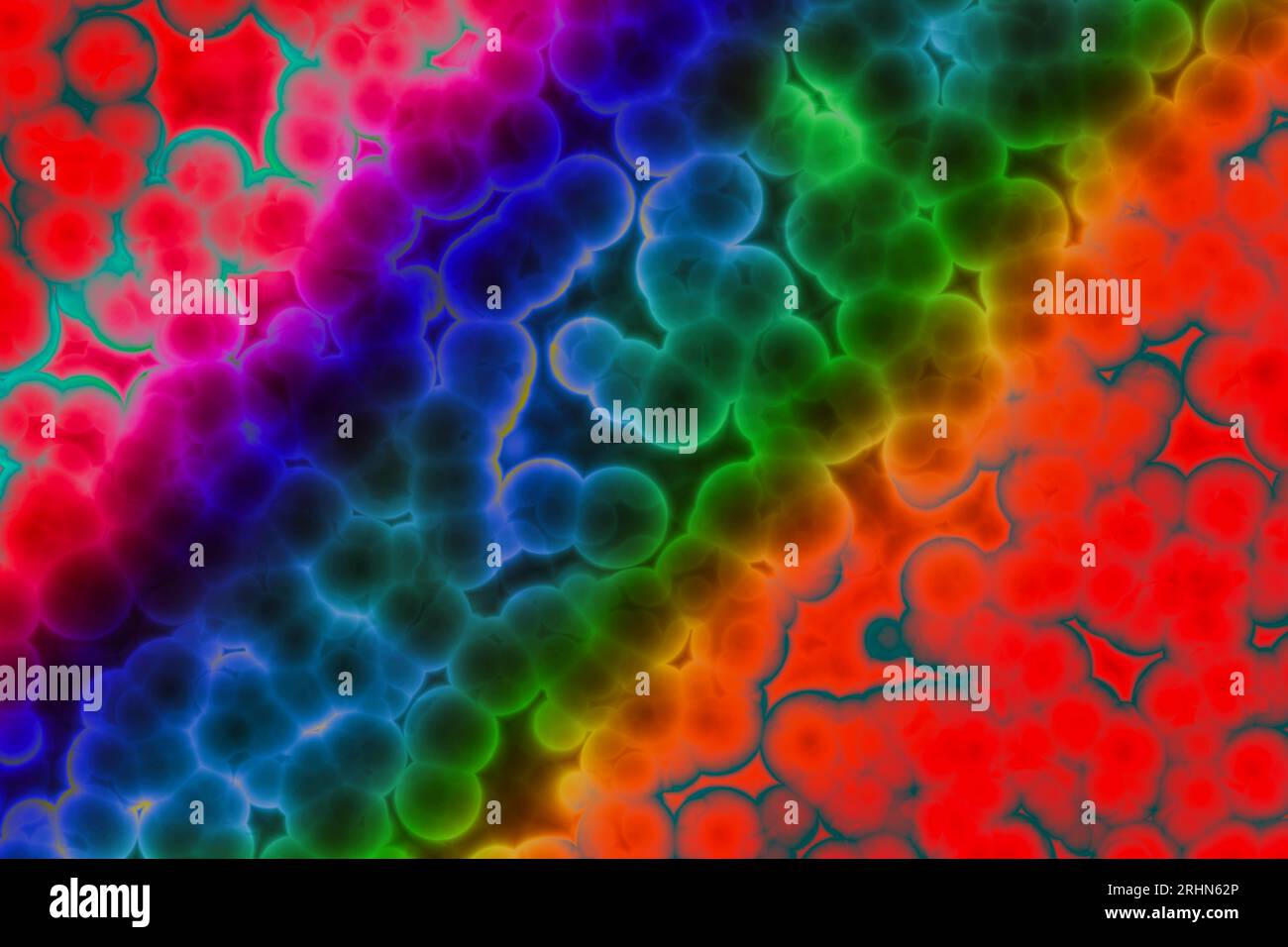 Shape of bacterial cell: cocci, bacilli, spirilla bacteria Stock Photo ...