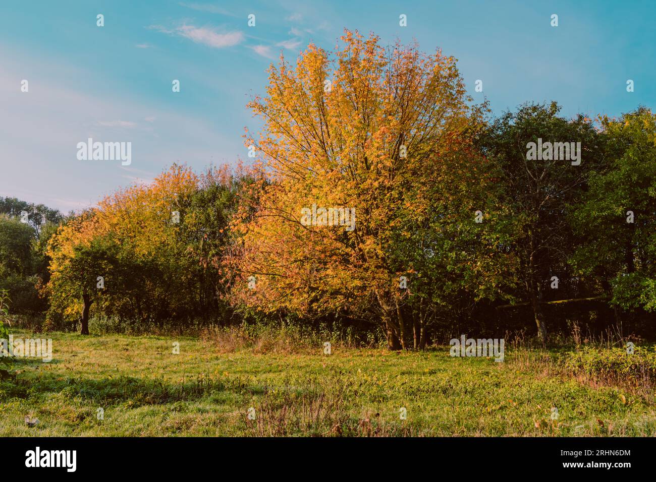 Sunnyglow hi-res stock photography and images - Alamy