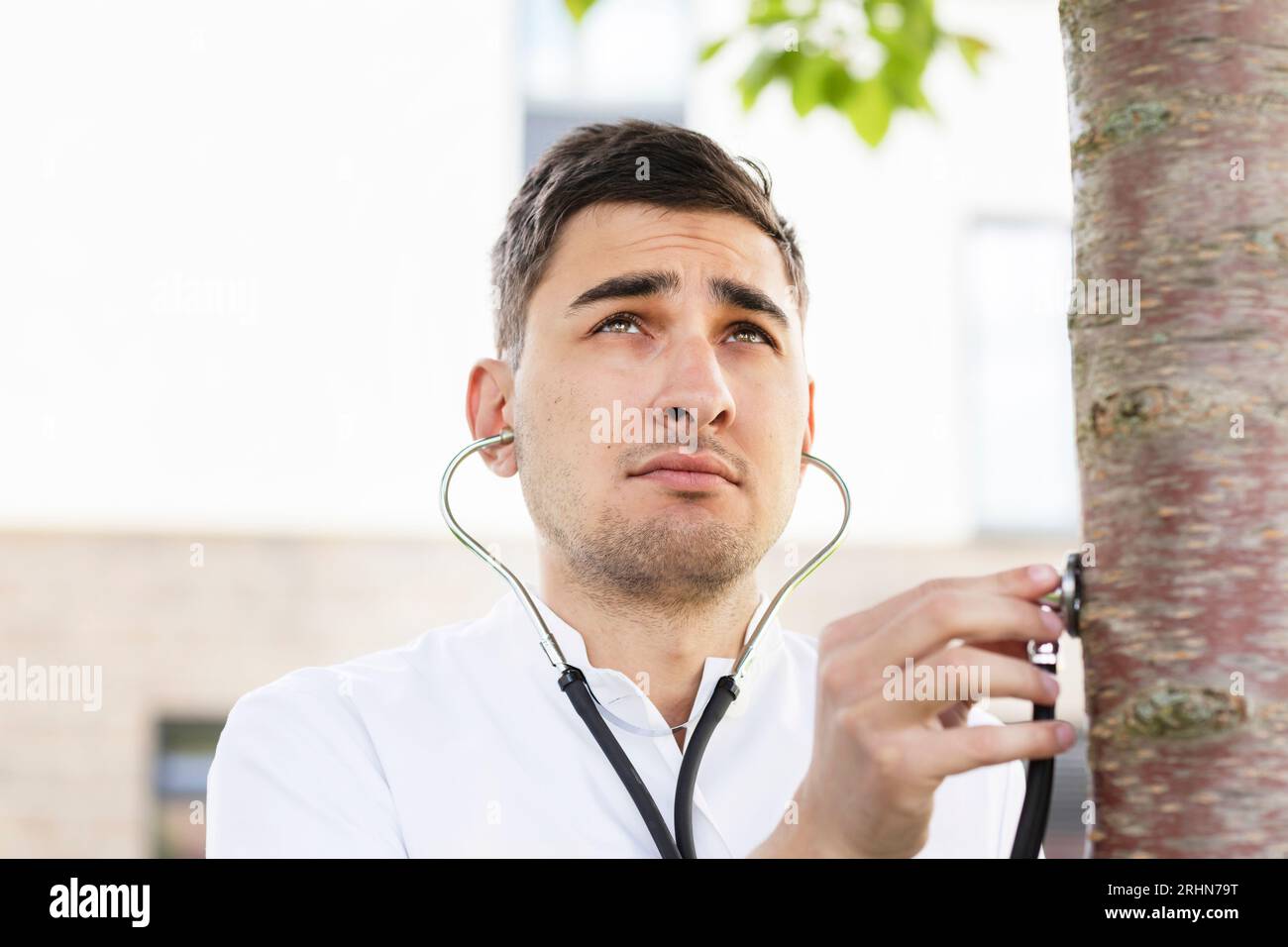 doctor male outside examining a tree with a stethoscope Stock Photo - Alamy