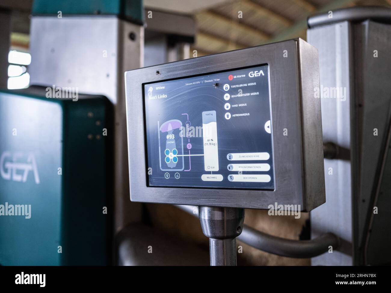 Ahaus, Germany. 16th Aug, 2023. INI Robots in the cow barn - farmers ...