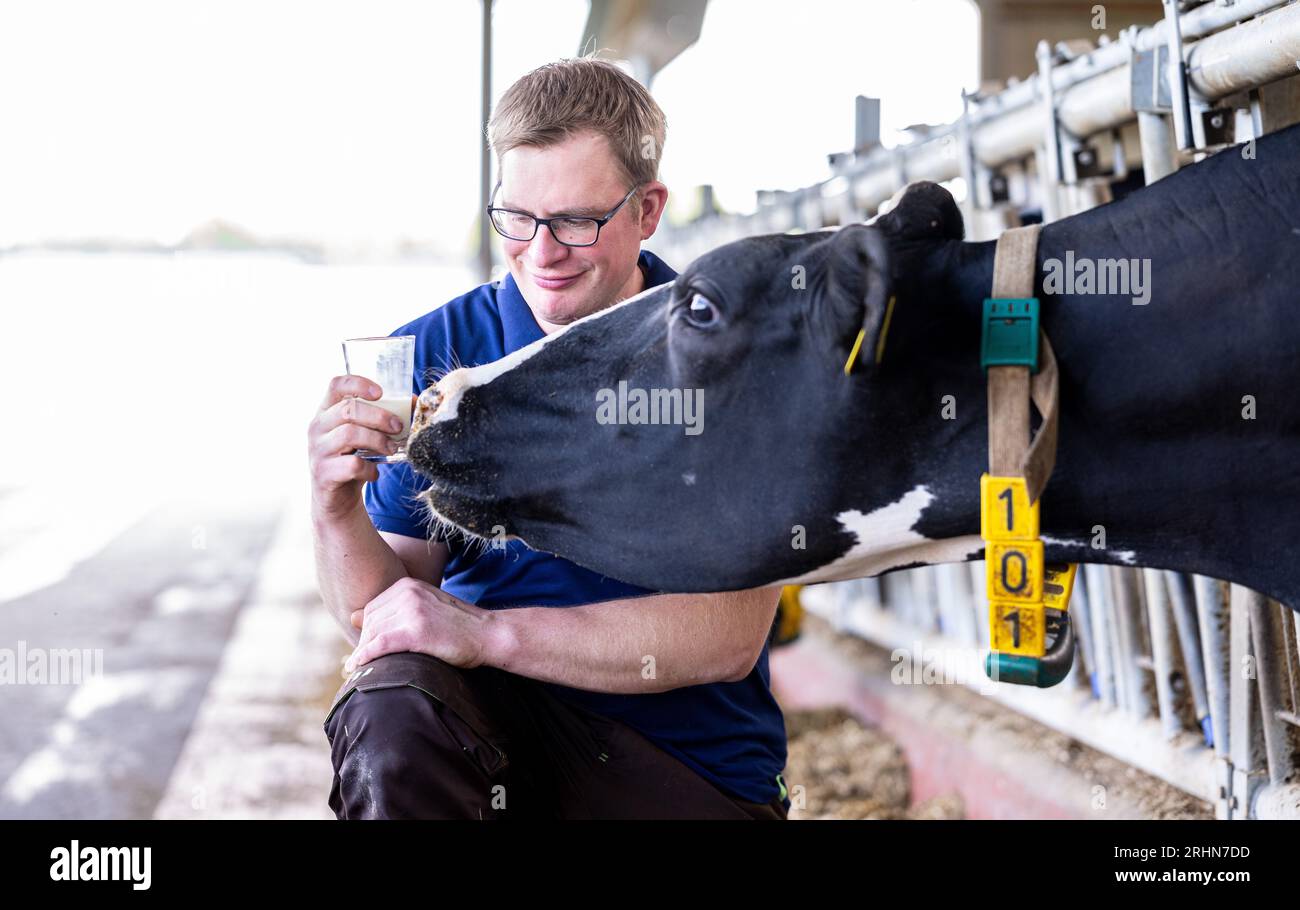 Ahaus, Germany. 16th Aug, 2023. INI Robots in the cow barn - farmers ...