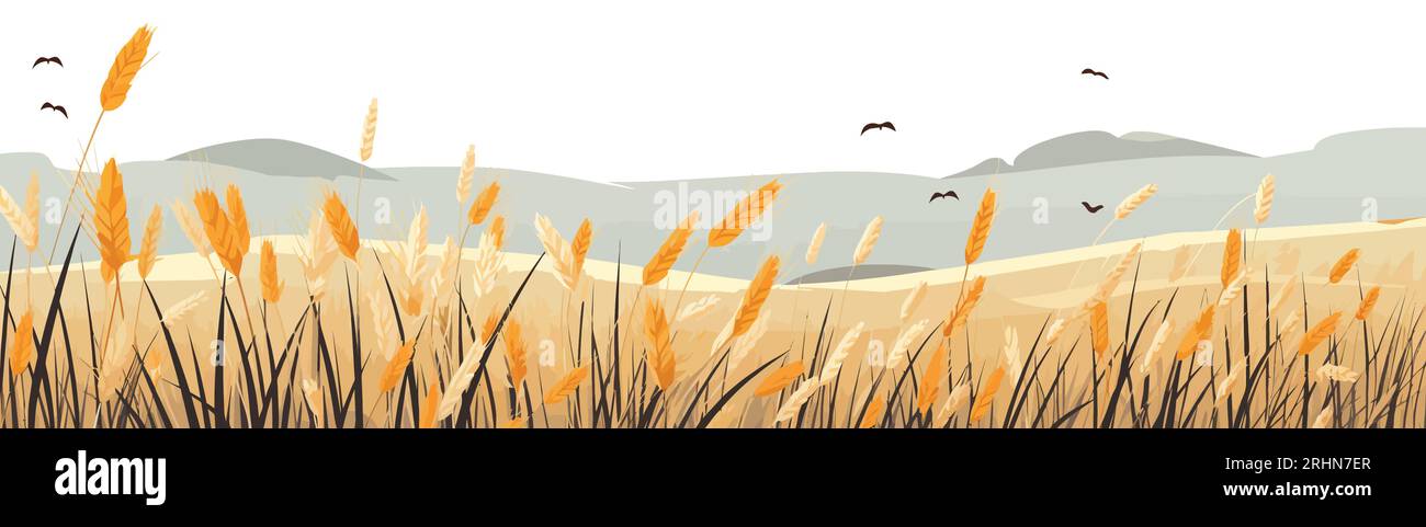 Botanical wheat drawing Stock Vector Images - Alamy