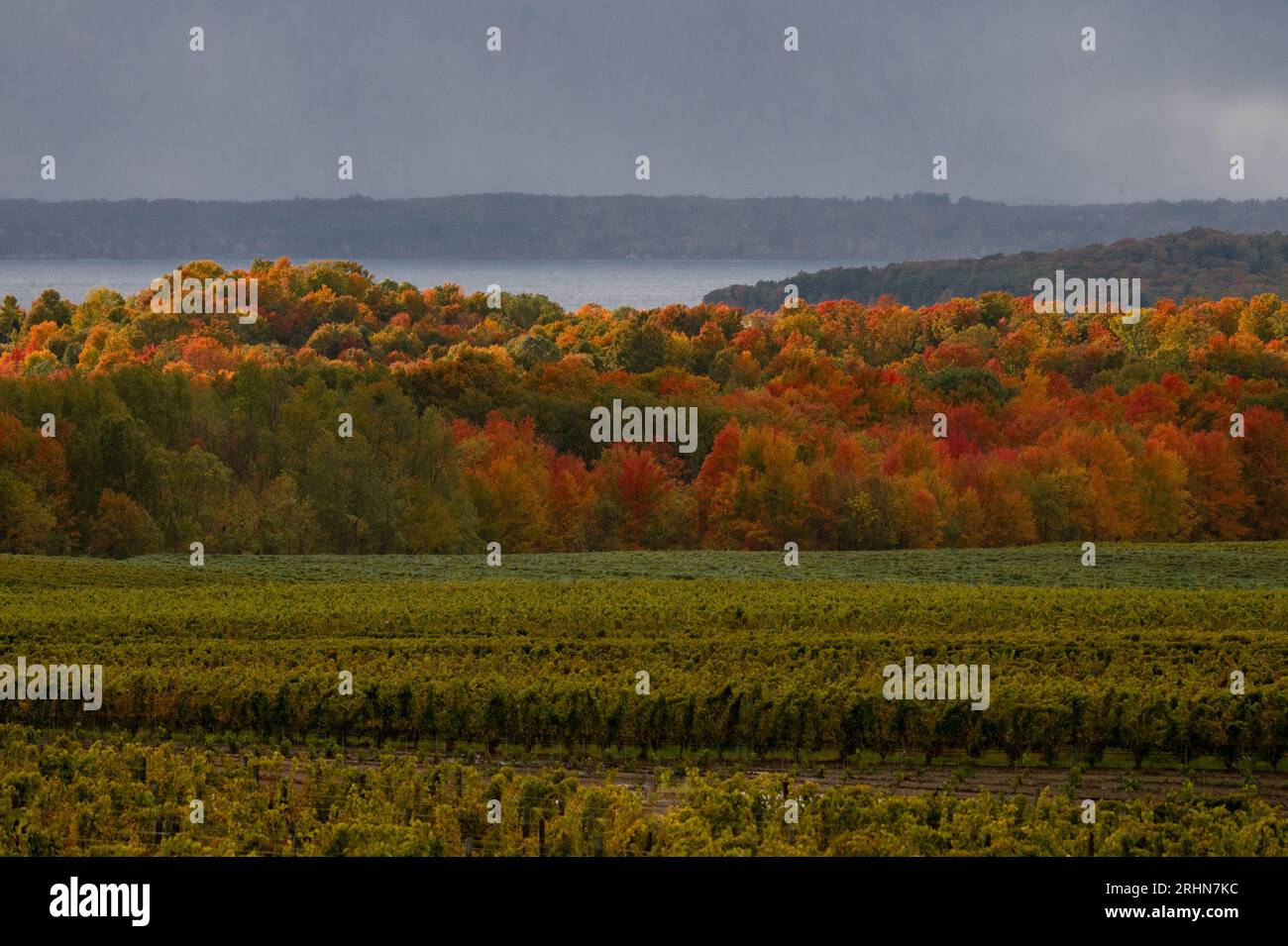 Breathtaking fall foliage hi-res stock photography and images - Alamy