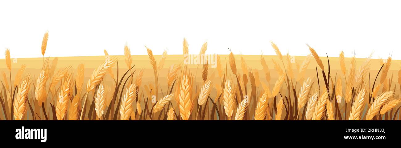 Botanical wheat drawing Stock Vector Images - Alamy