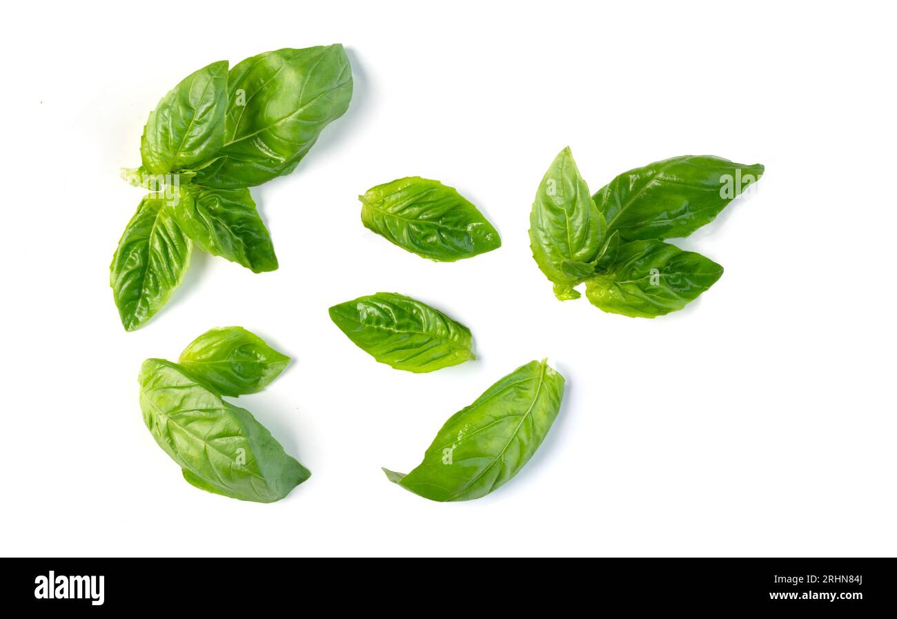Fresh basil leaves isolated on white background. Top view. Flat lay ...