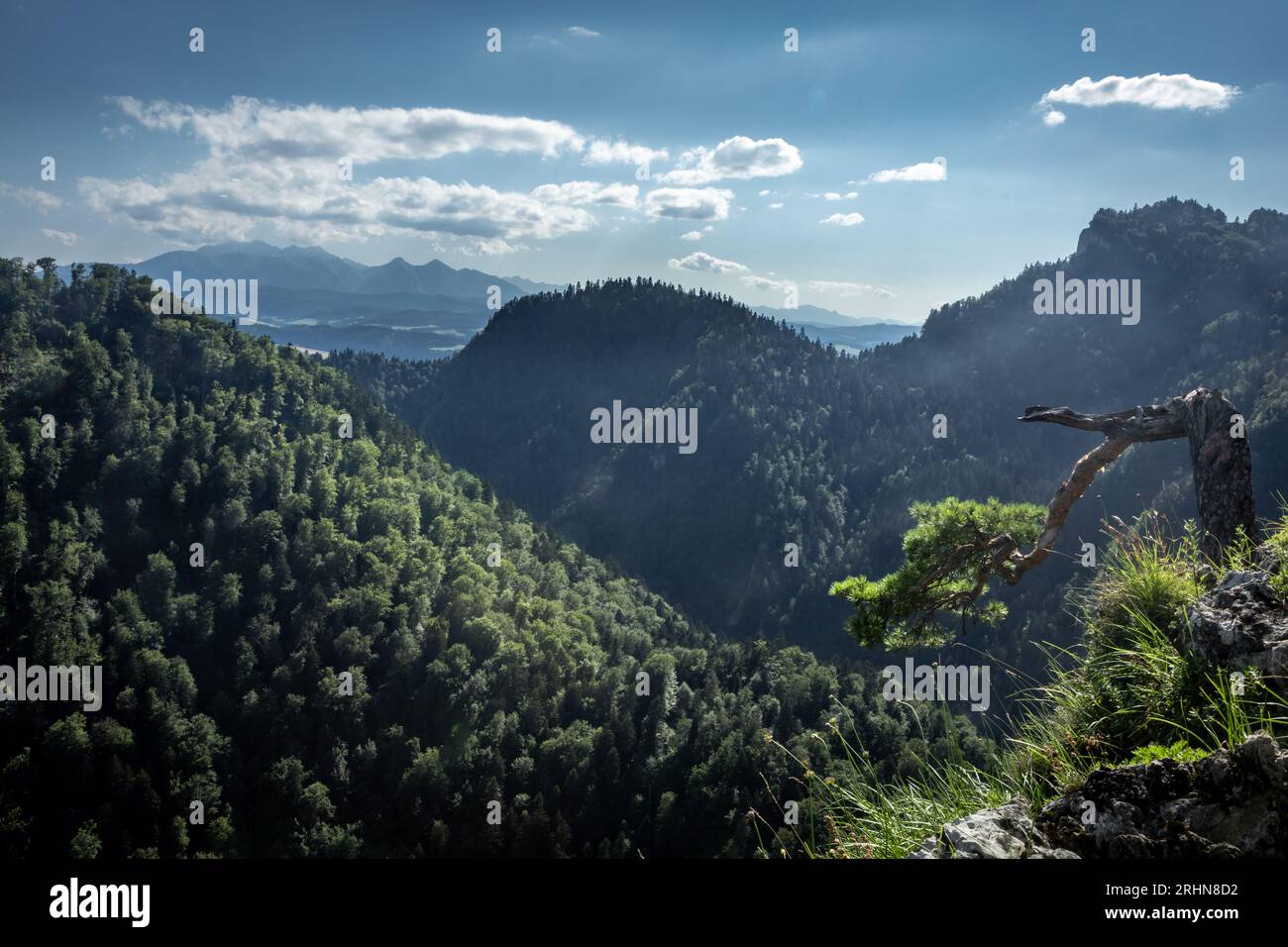 Panoramic mountain landscape from Sokolica in Pieniny, Poland. Bent ...