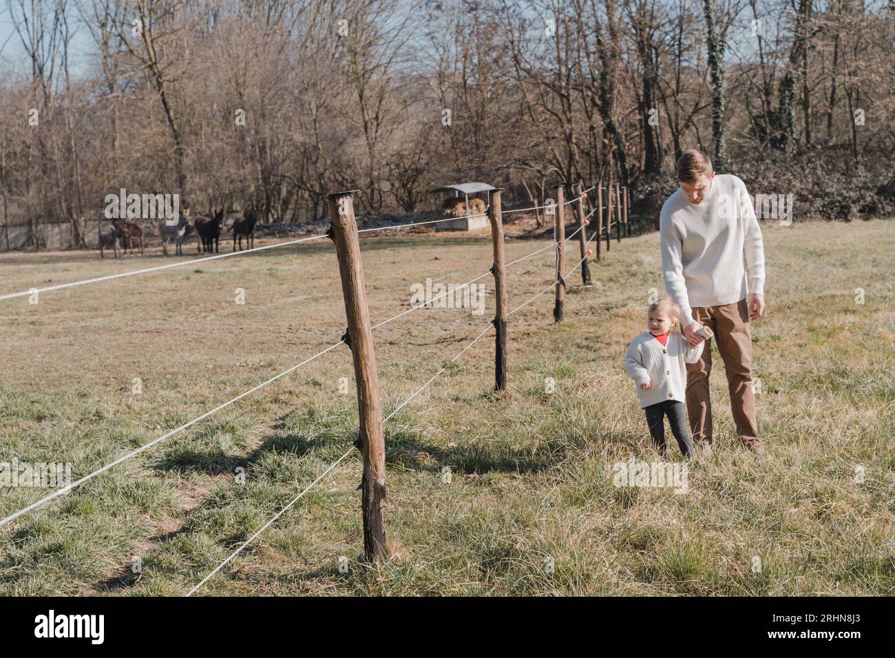 A man holds a small child by the hand and goes across the field Stock Photo - Alamy