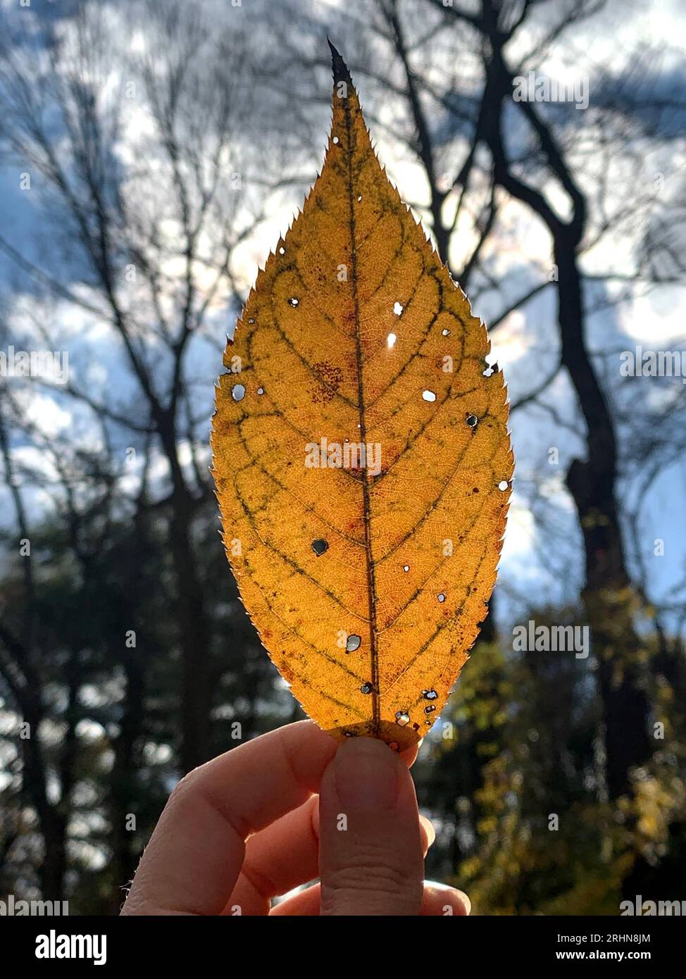 Close up hand in yellow hi-res stock photography and images - Alamy