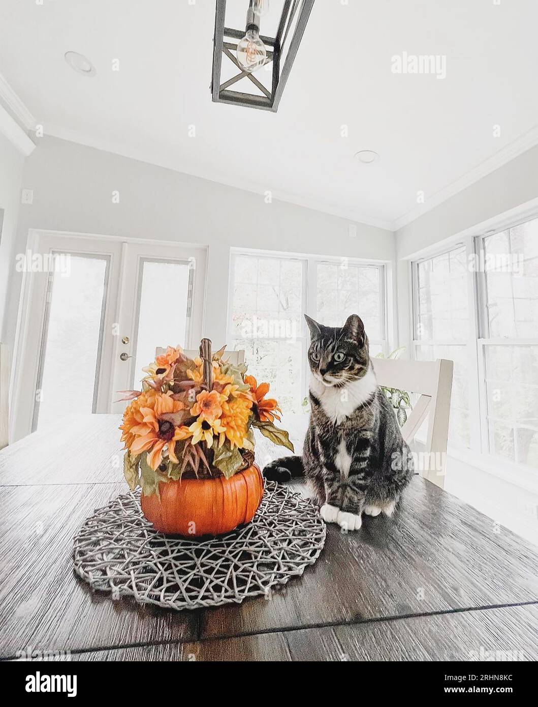 White autumn aesthetic hi-res stock photography and images - Alamy