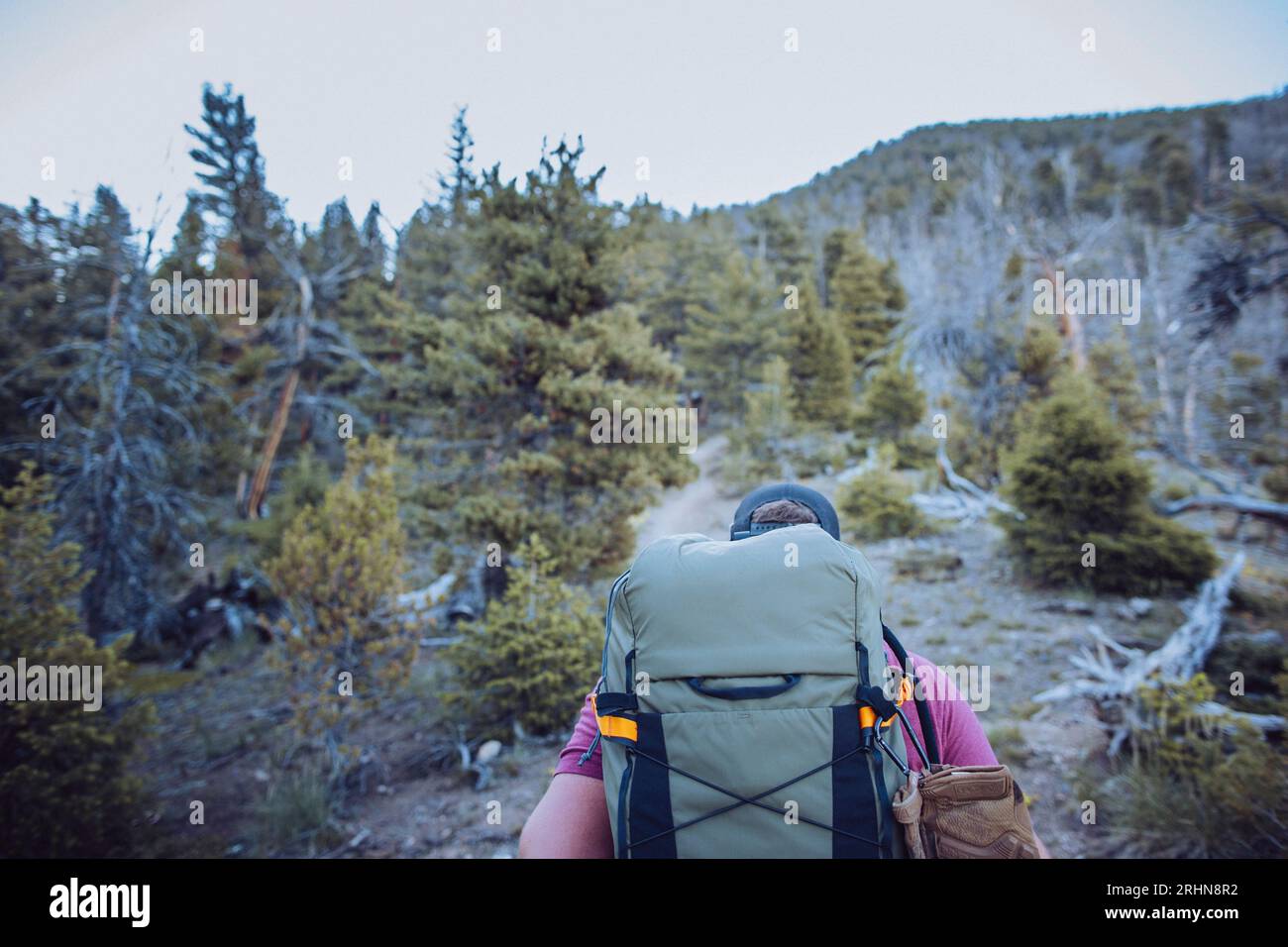 A male hiker hikes up a mountain with a backpack in the morning Stock ...