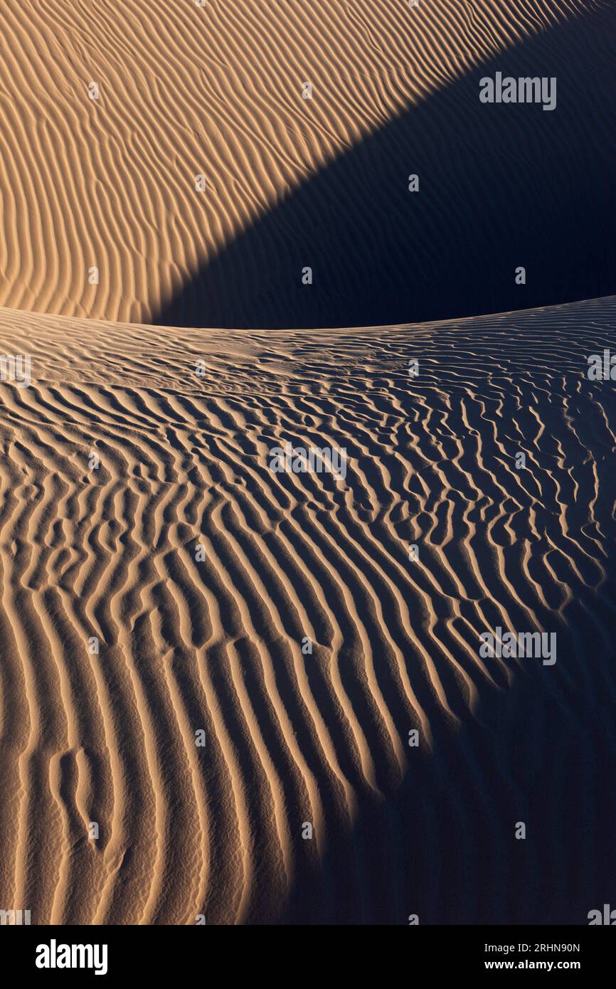 Detail of patterns and shadows on sand dunes vertical Stock Photo - Alamy