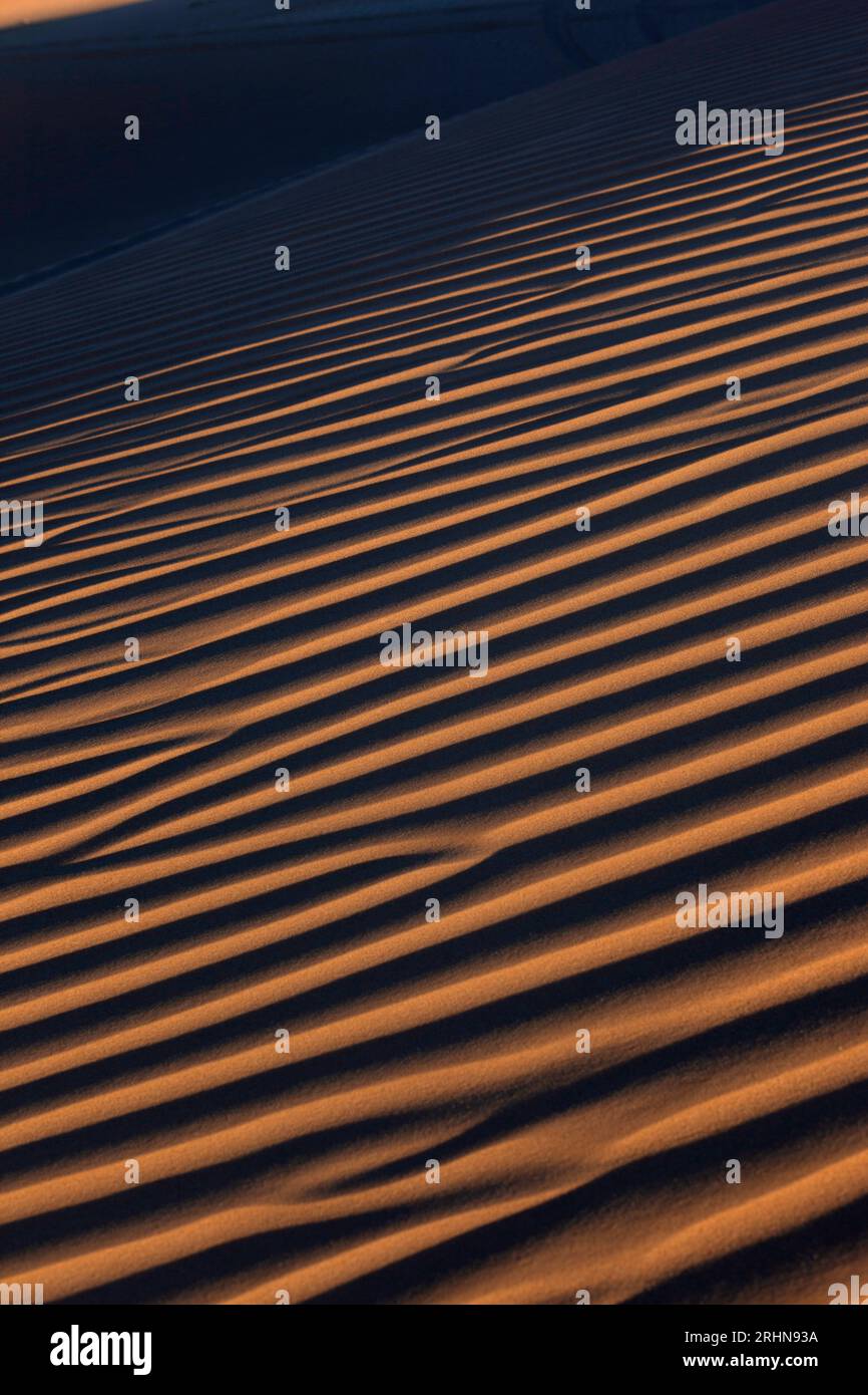 Strata patterns in sand dunes at sunset vertical Stock Photo - Alamy