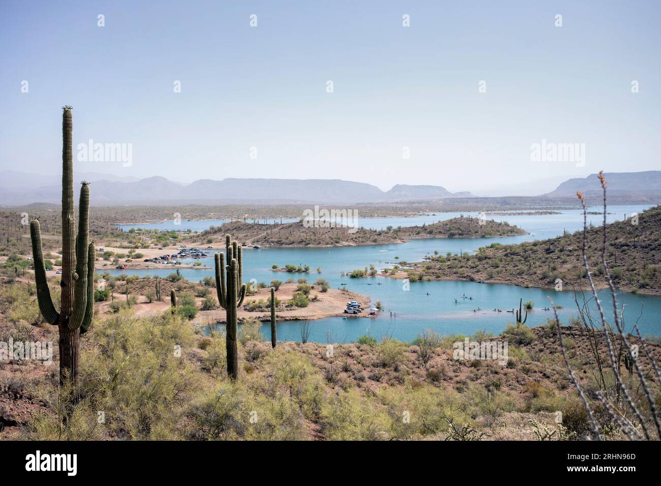 Sonoran desert mountains wildlife hi-res stock photography and images ...