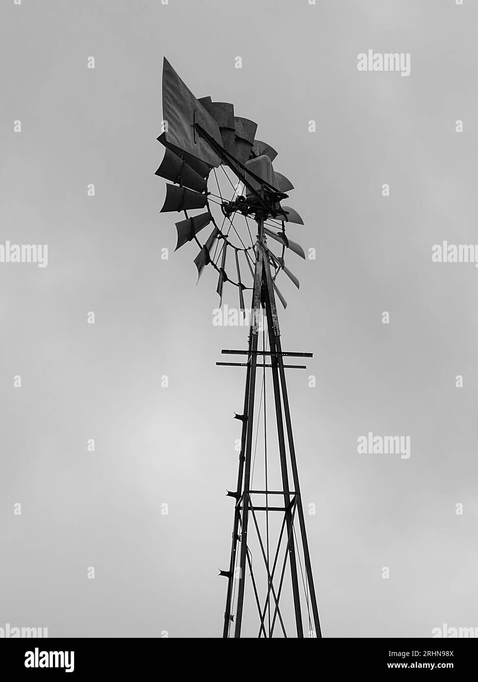 Greyscale hi-res stock photography and images - Alamy