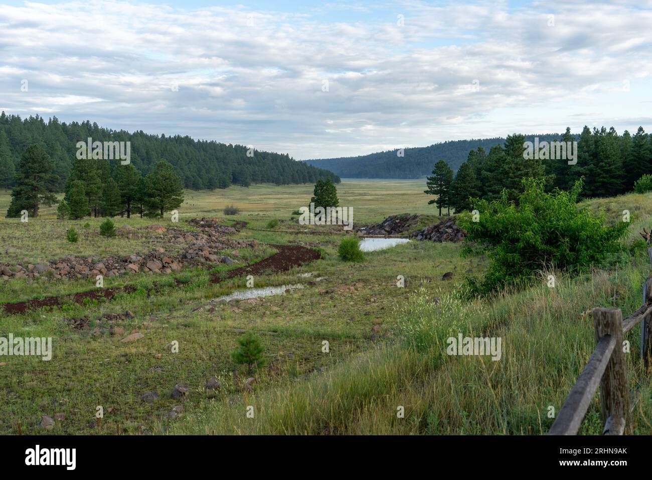 Lush grassy field with stream and pine covered hills Stock Photo - Alamy