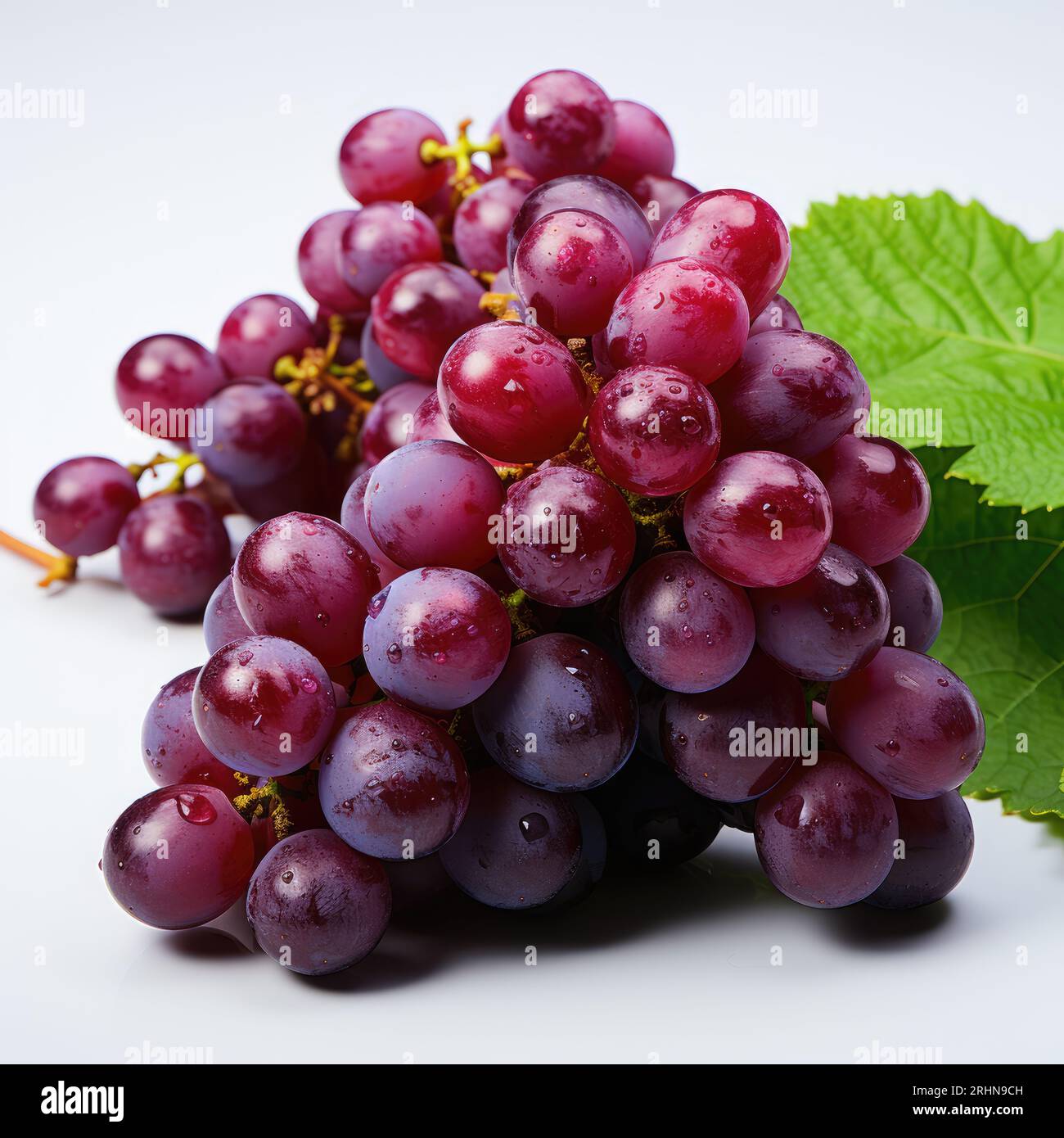 Grape succulent hi-res stock photography and images - Alamy