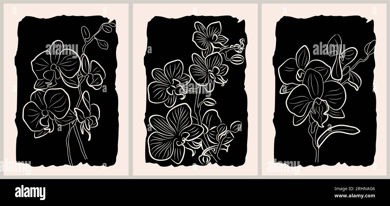 Botanical wall art set. Orchid line art drawing Stock Vector Image ...