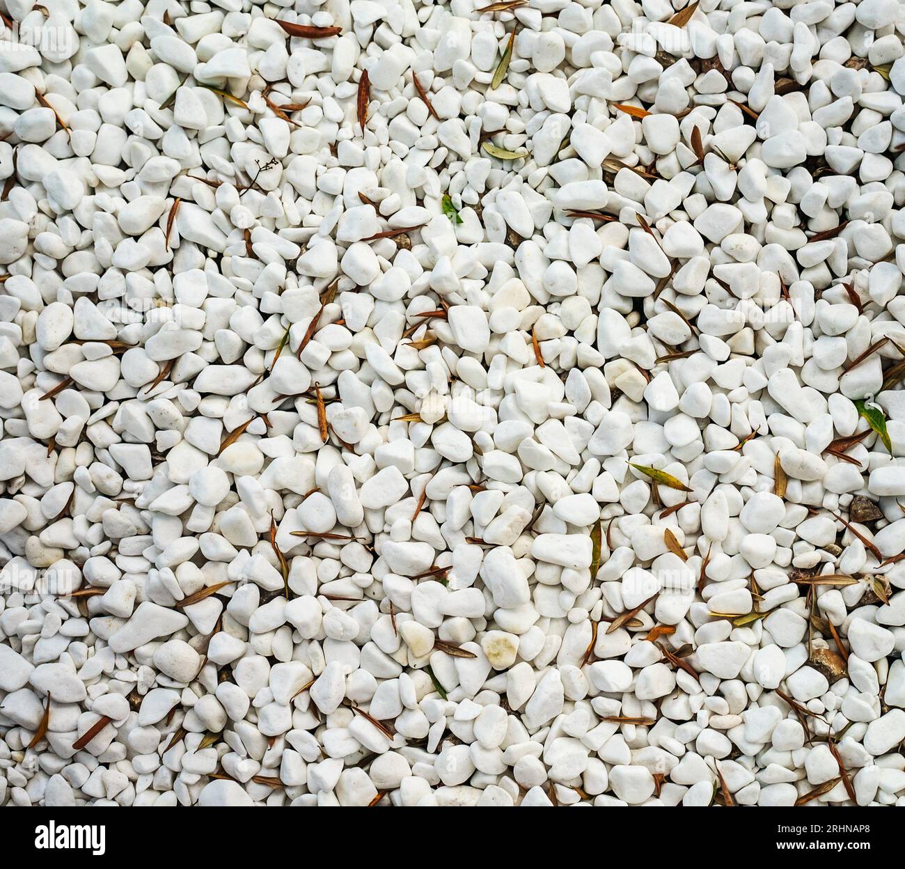 Snow-white stones on the seashore. Suitable for background Stock Photo ...