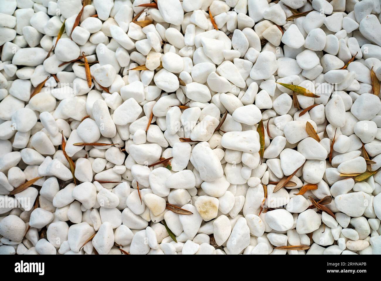 Snow-white stones on the seashore. Suitable for background Stock Photo ...