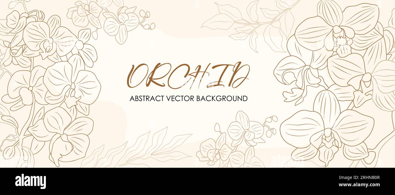 Abstract art background,orchid flower line art Stock Vector Image & Art ...