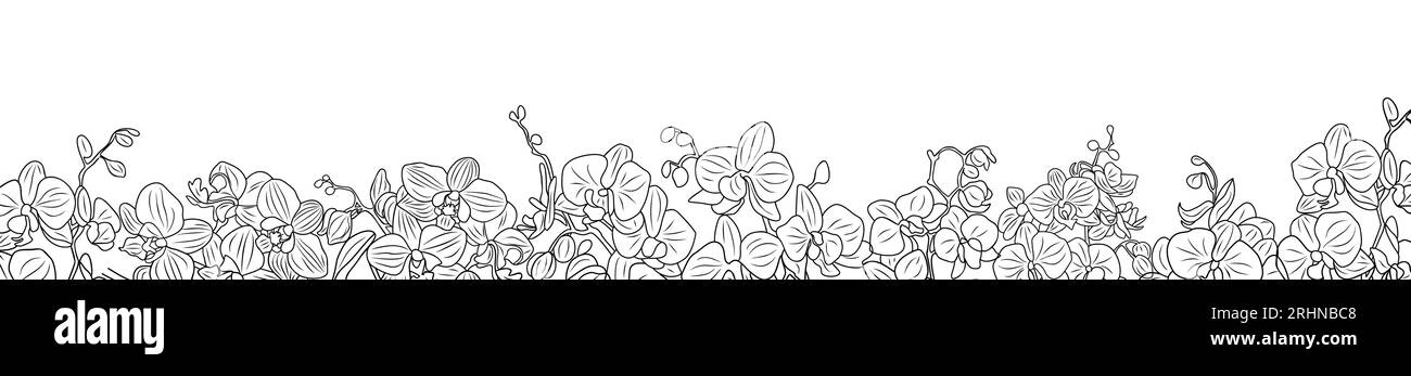 Horizontal banner floral border frame vector art Stock Vector Image ... Horizontal banner floral border frame vector art Stock Vector Image ...