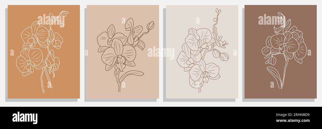 Orchid flower Line art Drawing Vector Print Set Stock Vector Image ...