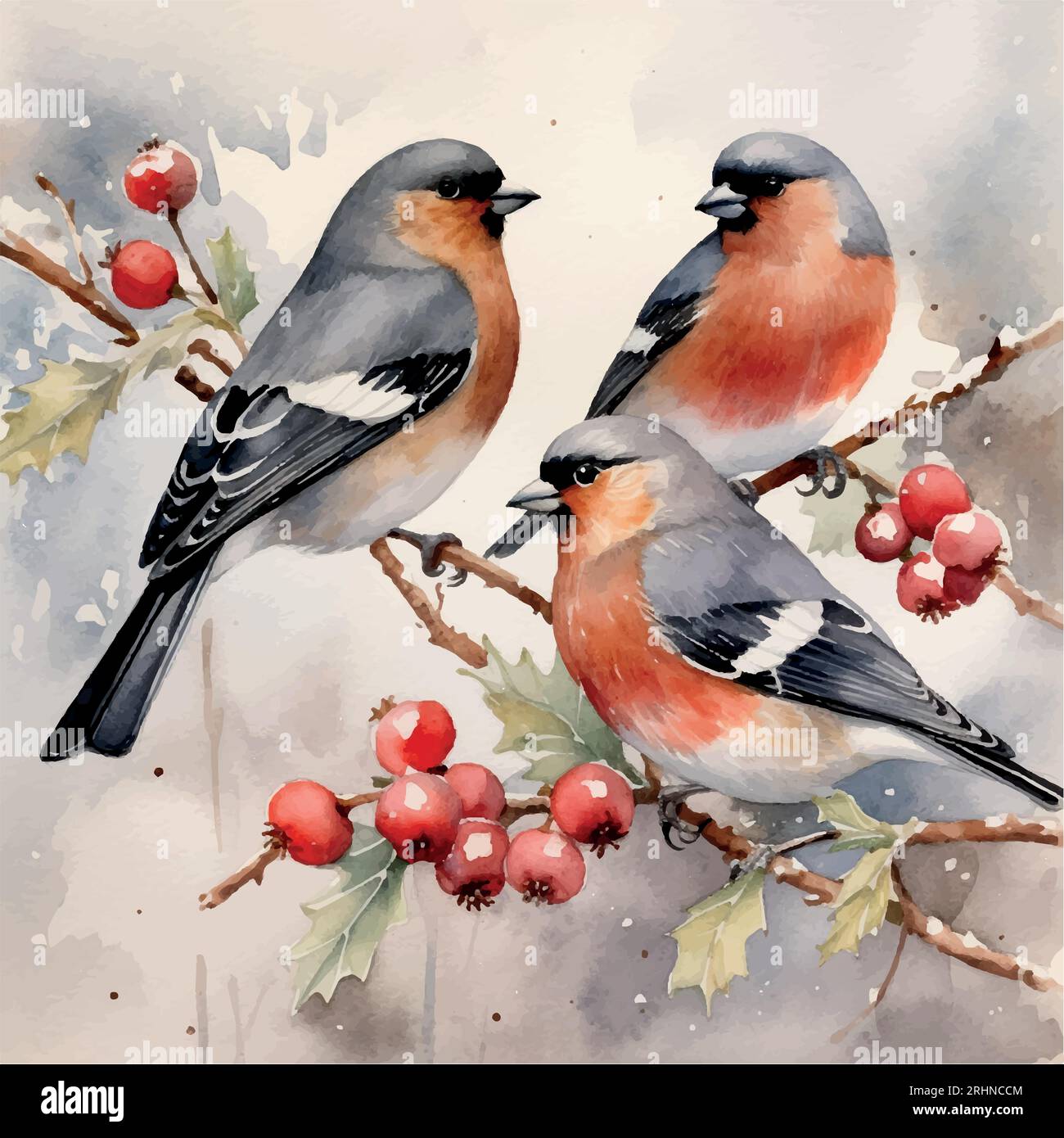 Christmas Bullfinches watercolor in hand drawn style. Vector illustration design element Stock ...