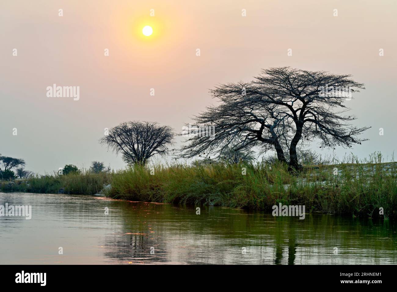 Namibia. The banks of Okavango river at dusk Stock Photo - Alamy