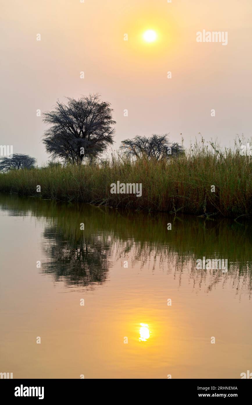 Namibia. The banks of Okavango river at dusk Stock Photo - Alamy