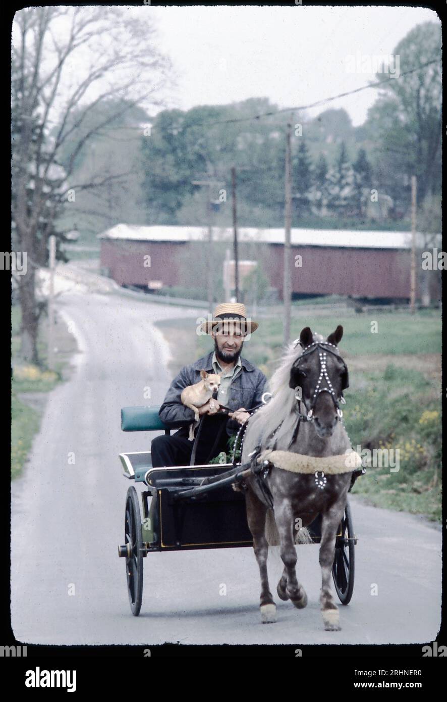 An Amish man ridding his horse and buggy In Lancaster, Pennsylvania ...