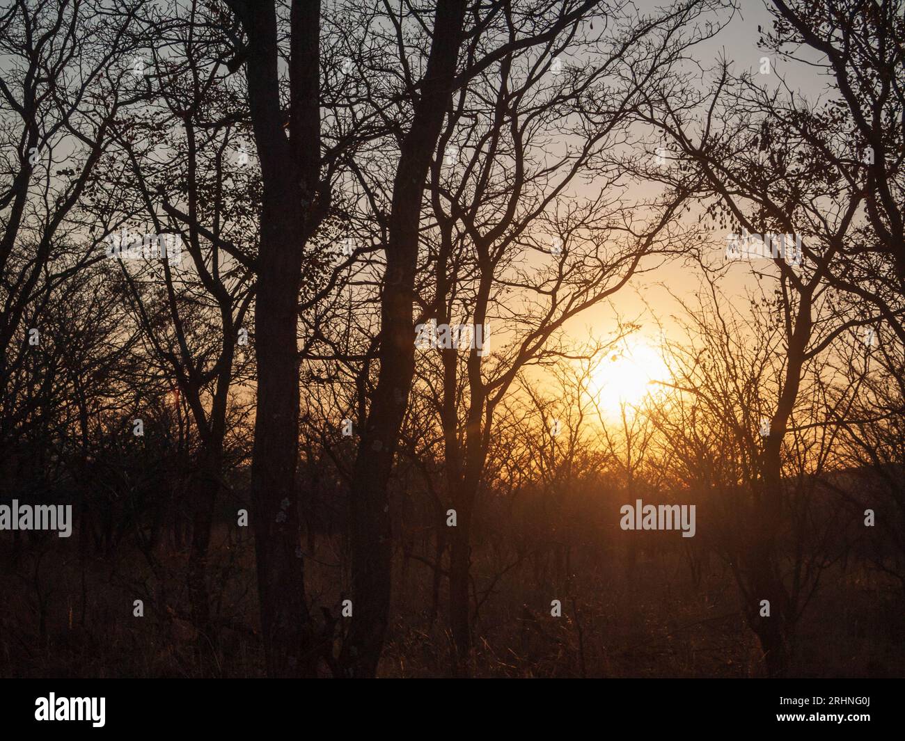 Sunrise photograph on a July winter morning during a game drive, South ...
