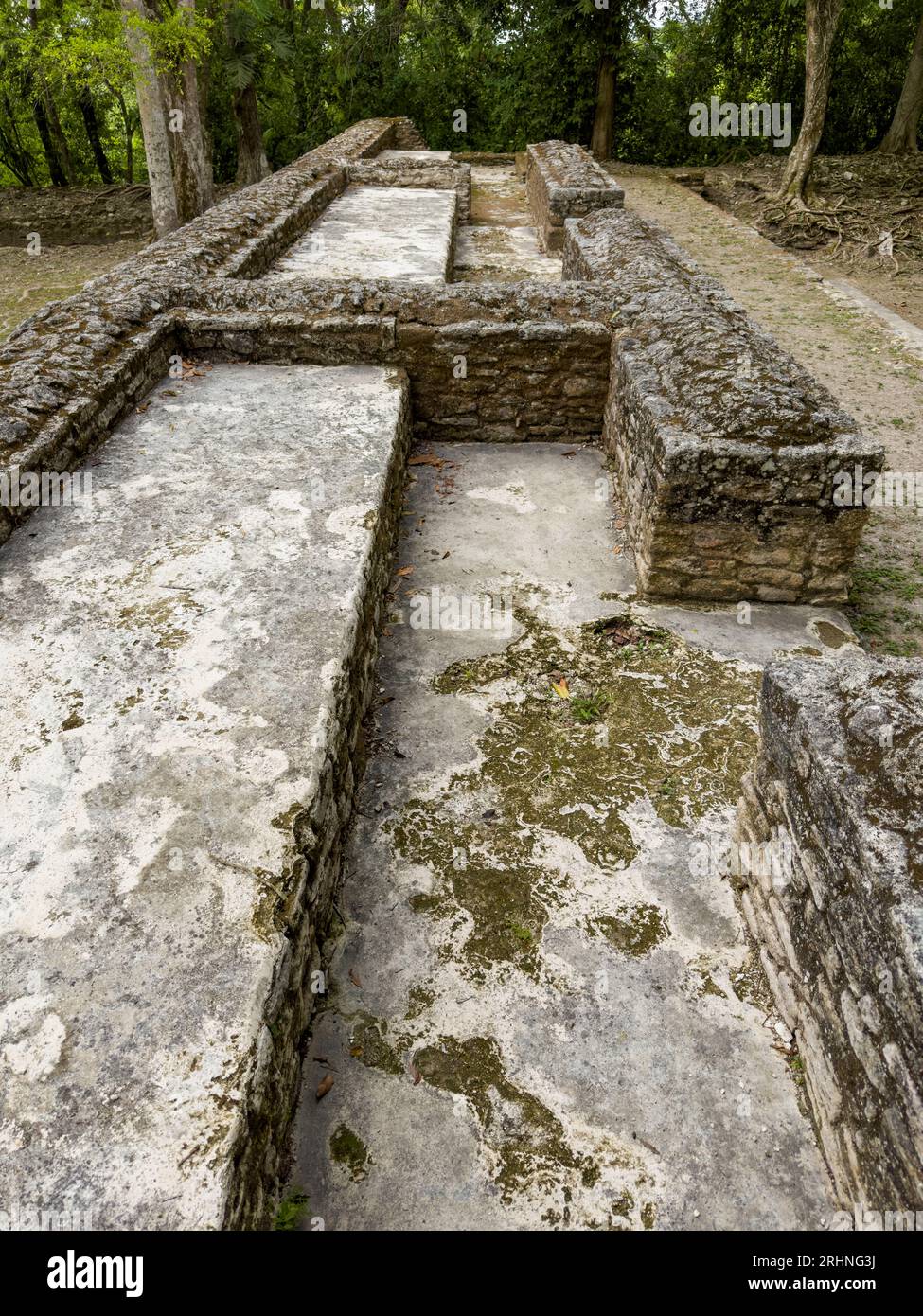 Structure F2 between Plazas F & G in the Mayan ruins in the Cahal Pech ...