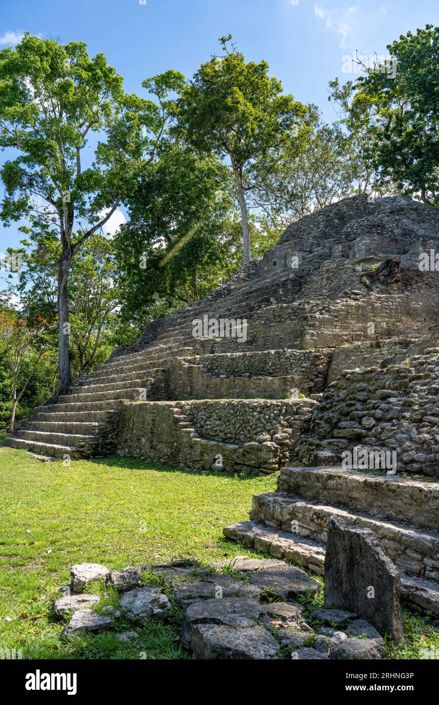 Broken stelae in front of Structure B3 with Pyramid B1 behine in the ...