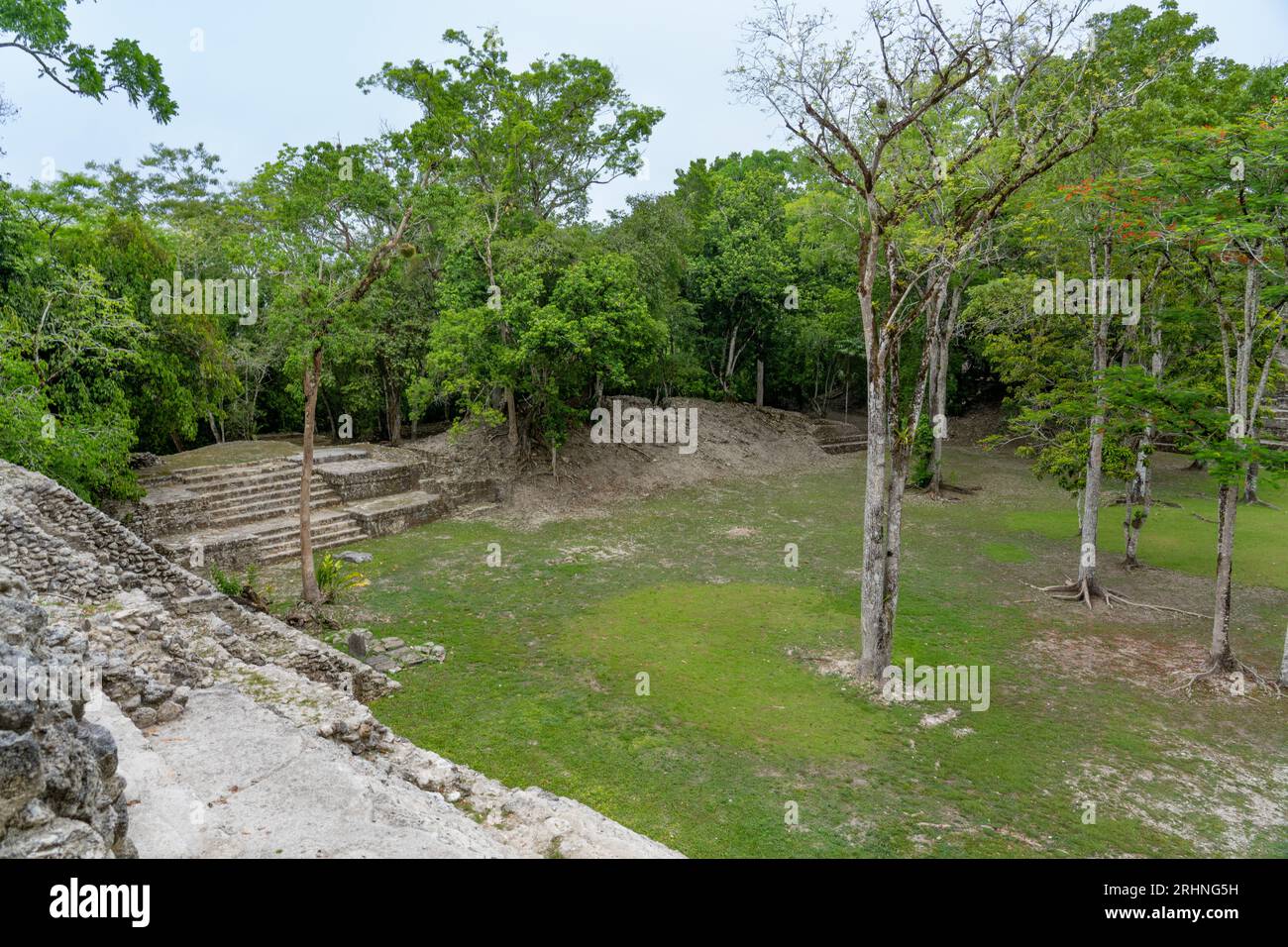 View of Structures B4 & B5 on Plaza B, from Pyramid B1 in the Mayan ...