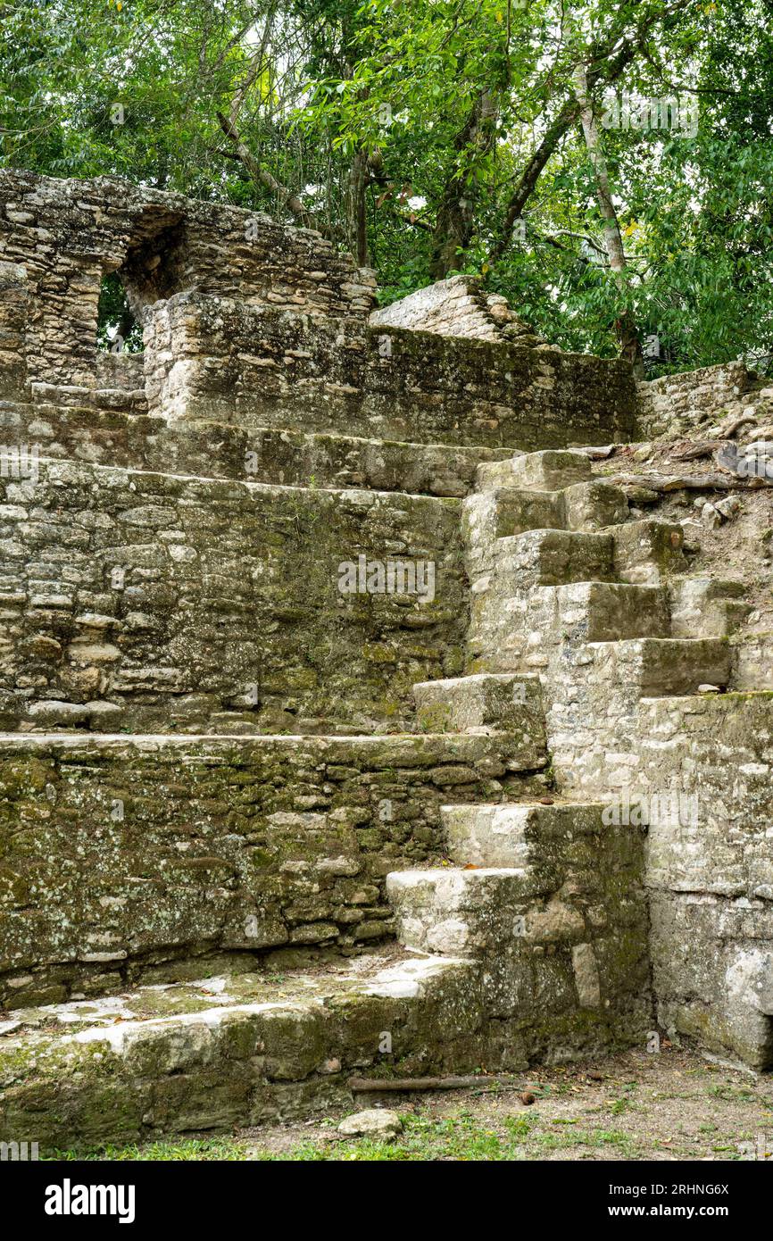 Architectural detail of part of Structure A2 in the Mayan ruins in the ...