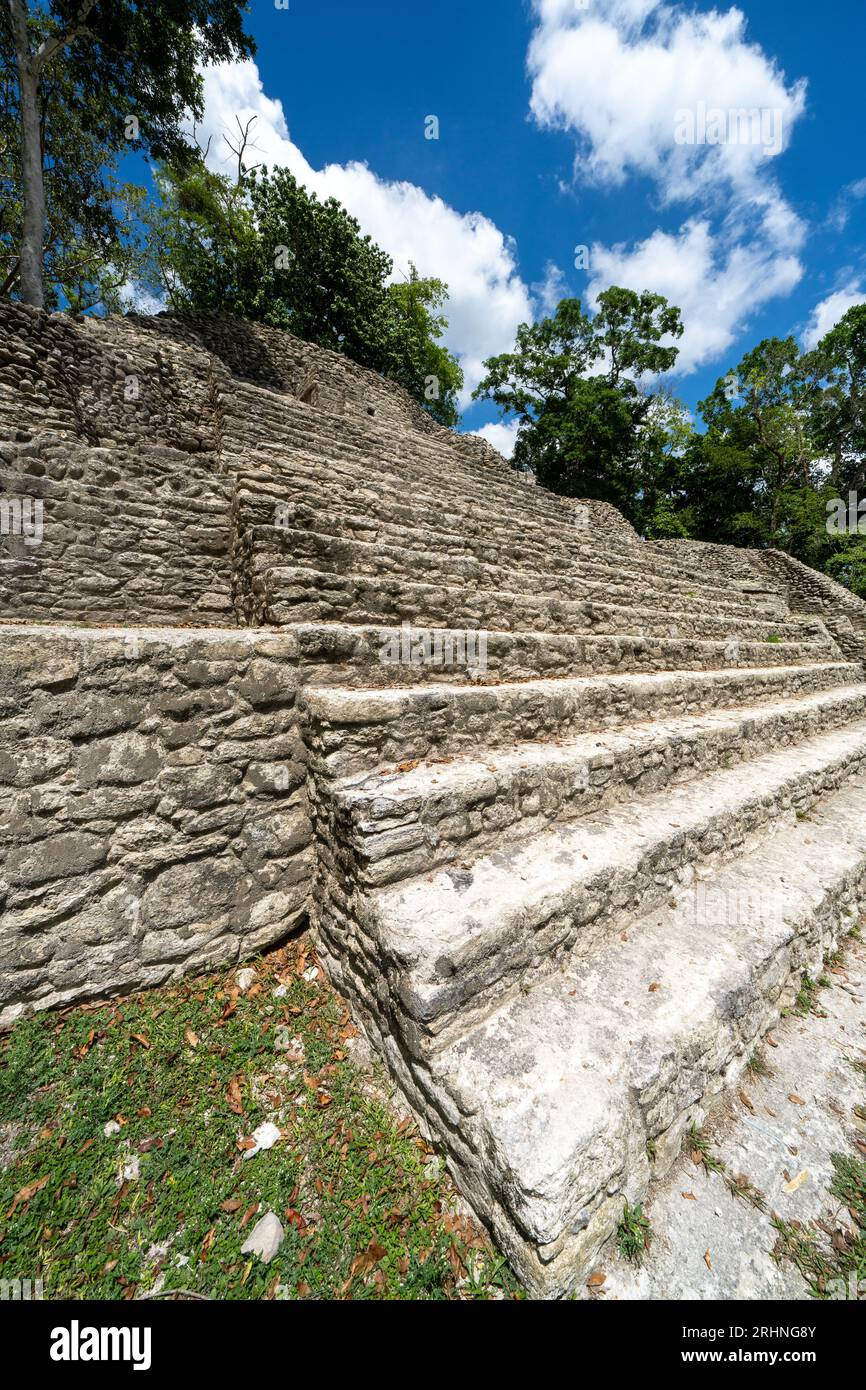 Steep stairs of Pyramid / Structure B1 on Plaza B in the Mayan ruins in ...