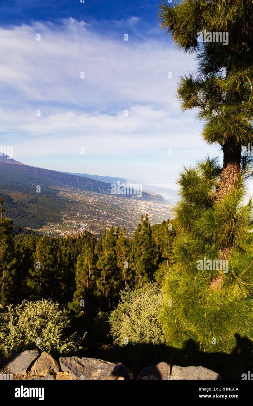 Overlooking the northern slopes from the Mirador de Ayosa, Tenerife ...