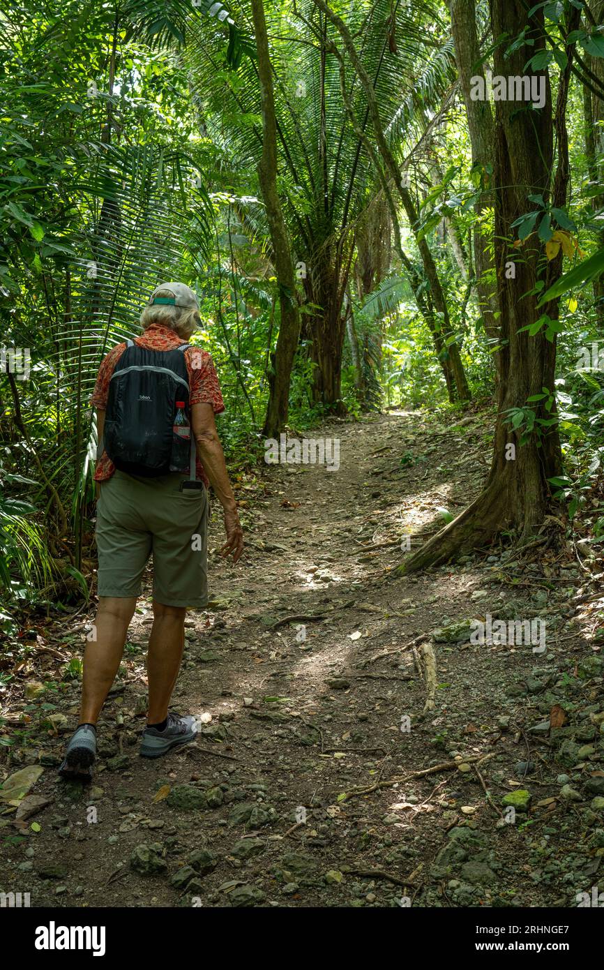 A tourist walks along the trail through the Mayan ruins in the Cahal ...
