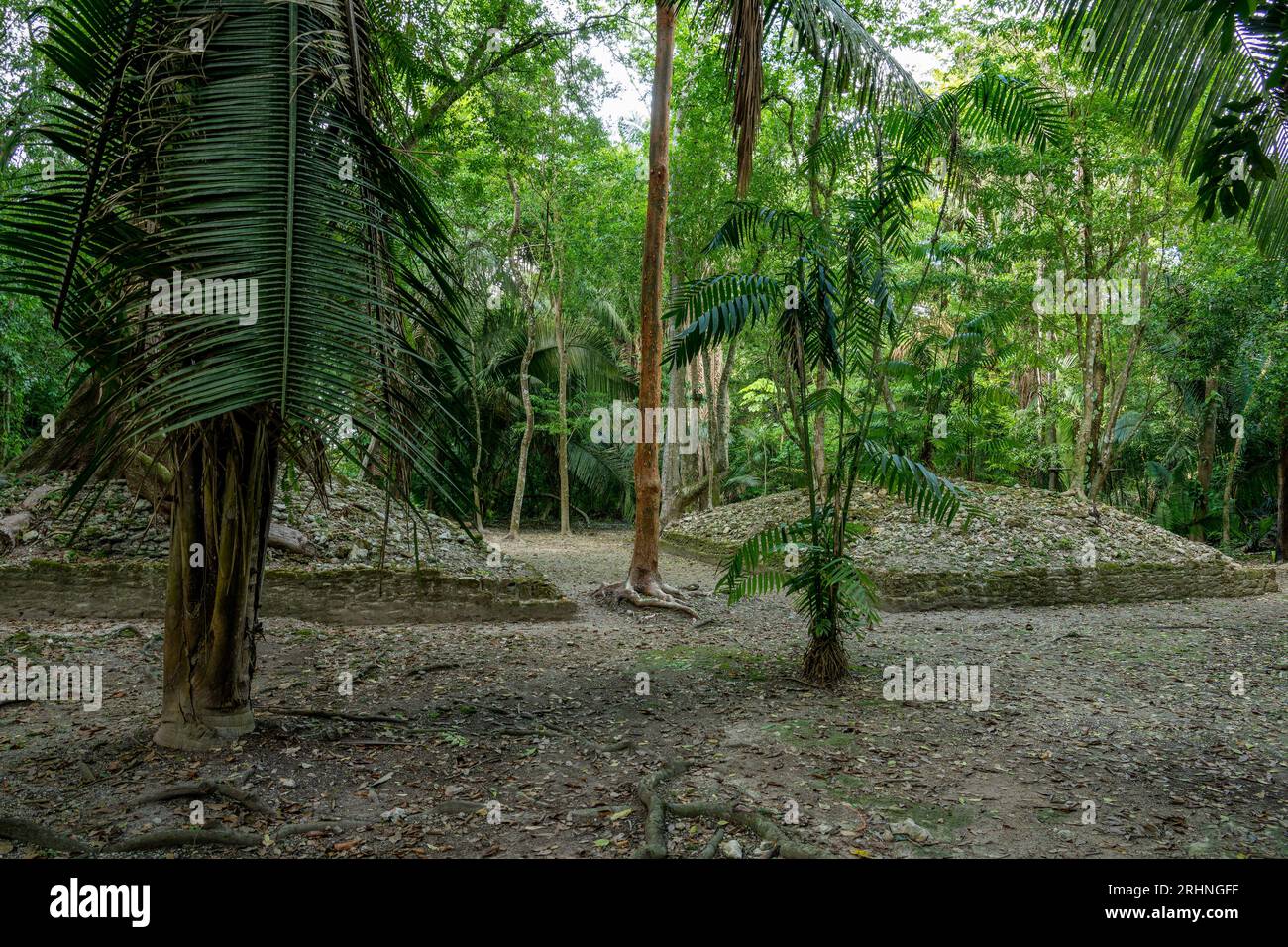 The partially-restored West Ball Court in the Mayan ruins in the Cahal ...