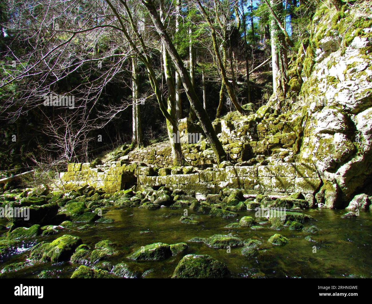 Old stone moss covered ruins next to Rak creek in Rakov Skocjan ...