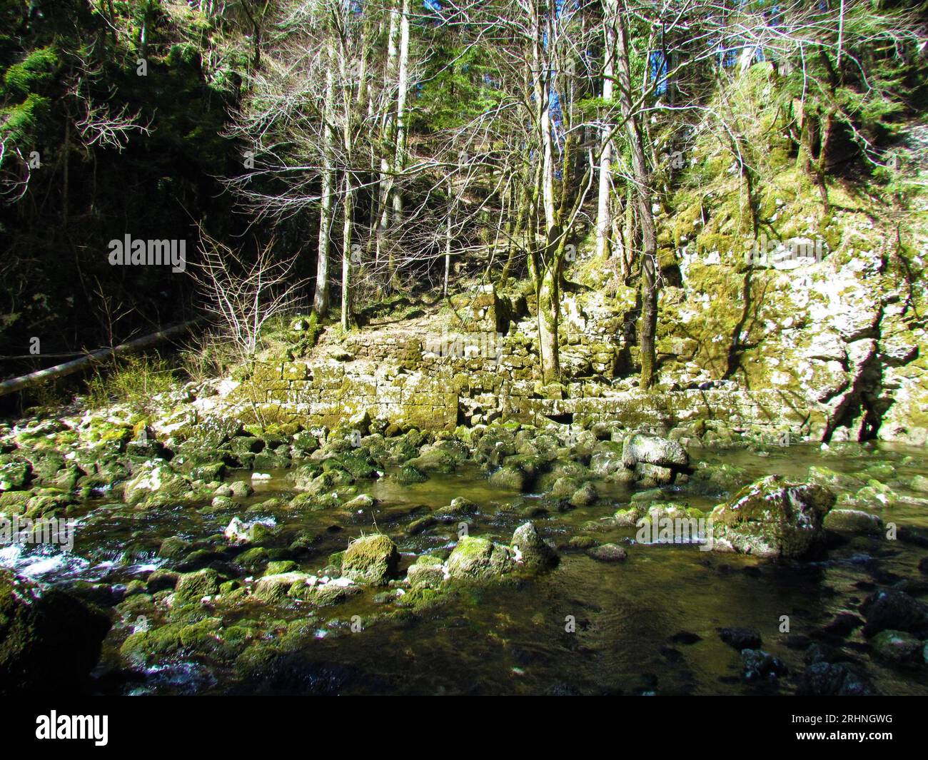 Old stone moss covered ruins next to Rak creek in Rakov Skocjan ...