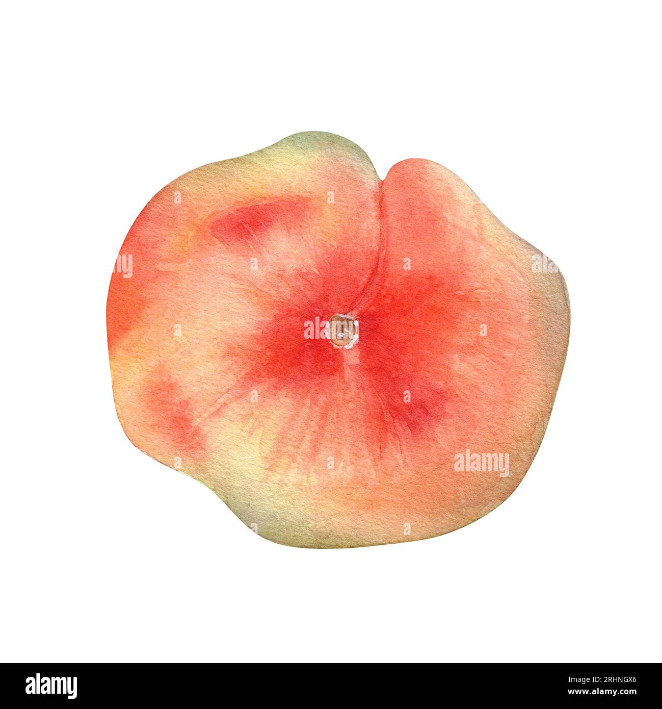 Peach drawing hi-res stock photography and images - Alamy